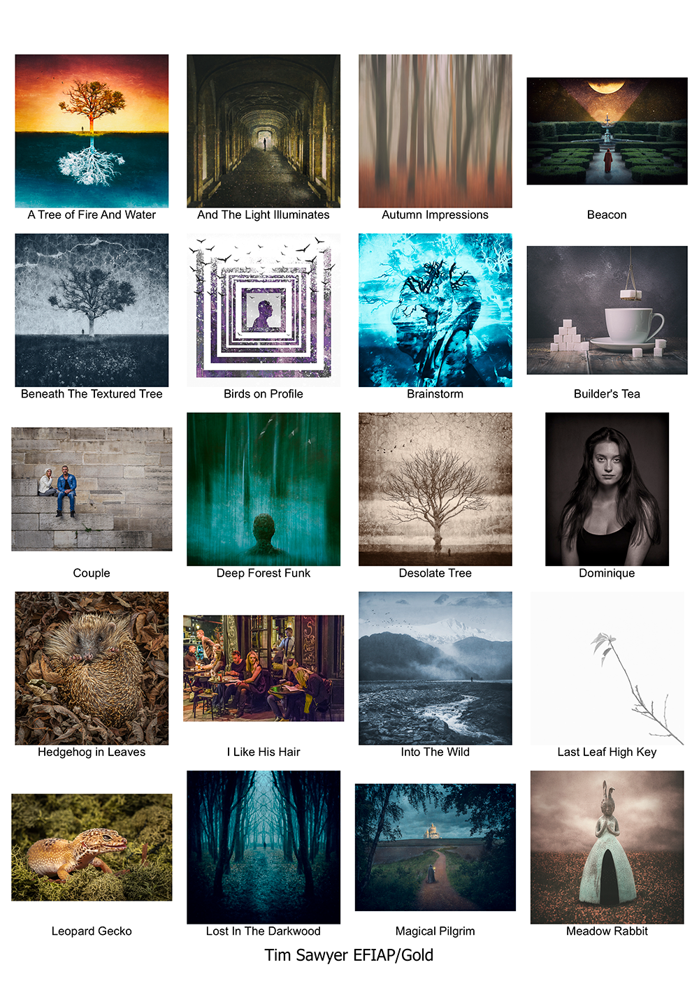 EFIAP/gold – Tim Sawyer Photography